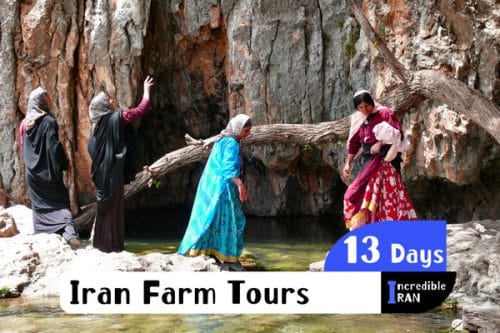 Local Iran Travel Agency and Tour Operator - Incredible Iran