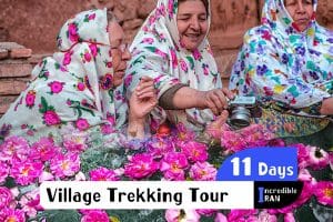 Local Iran Travel Agency and Tour Operator - Incredible Iran Tour Packages